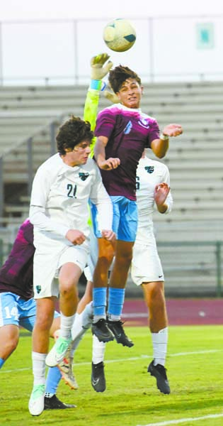 Bears cap unbeaten run through MIL with 3-1 victory over Na Alii | News ...